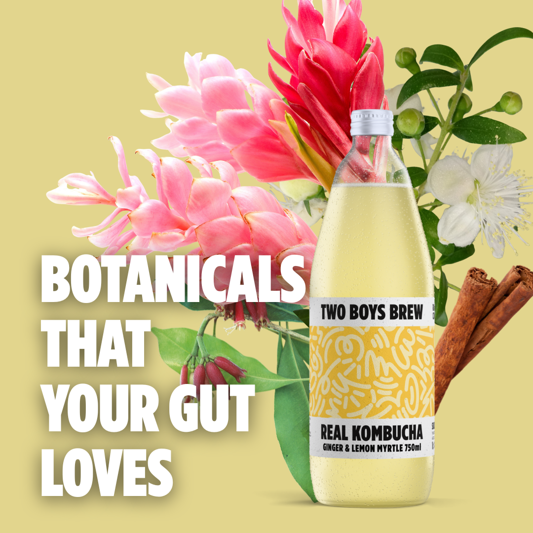 BOTANICALS THAT YOUR GUT LOVES - KOMBUCHA EDITION – Two Boys Brew Australia